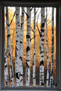 13 Fall Window Painting Ideas To Try This Season – DreamyHomeStyle